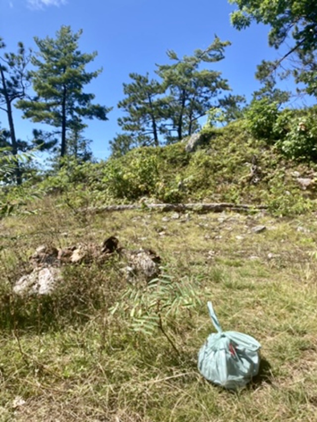 Garder les îles propres – Bassin versant du Lac Heney Watershed